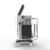 China Shockwave Therapy Physiotherapy Machine 300w for sale