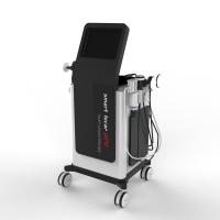 China Shockwave Therapy Physiotherapy Machine 300w for sale