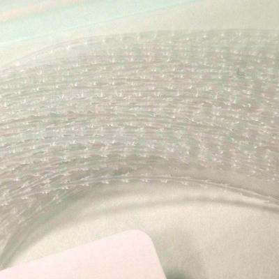 Cina 3D 4D 6D 8D 12D PCL PLLA infila la cannula smussata per l'iniezione in vendita