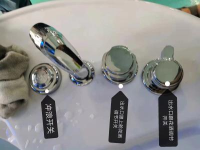 Cina Corpo che dimagrisce l'OEM del letto di idromassaggio di idroterapia del vapore saturo in vendita