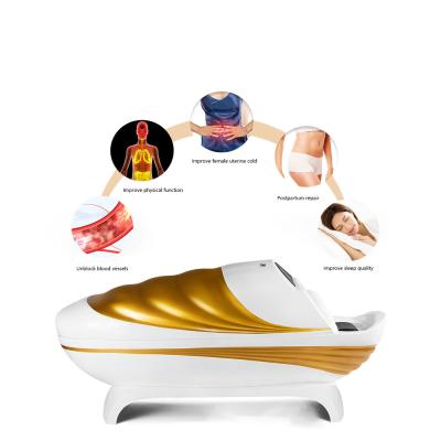 Cina Capsula infrarossa della STAZIONE TERMALE di idroterapia di terapia della cabina del corpo idro 6000 gauss in vendita