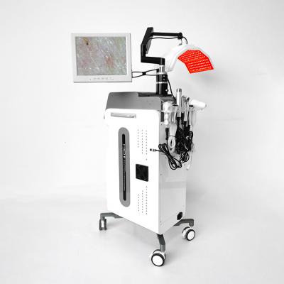 Cina Strumento 10 della gestione della pelle di terapia di PDT in 1 macchina 273pcs/650nm di bellezza in vendita