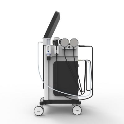 Cina Pro macchina elettrica astuta di fisioterapia di Tecar con Tecar 300w in vendita