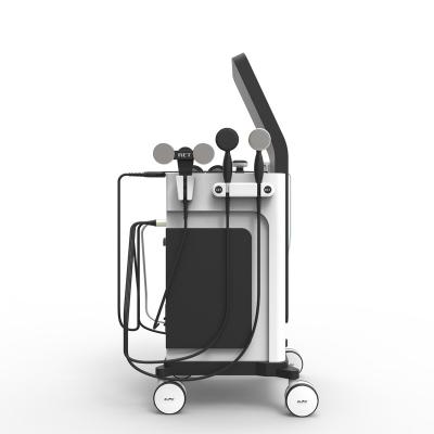 Cina Pro macchina elettrica astuta di fisioterapia di Tecar con Tecar 300w in vendita
