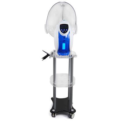 Cina Ringiovanimento facciale di Jet Peel Oxygen Dome Skin della macchina dello spruzzo di O2toderm in vendita