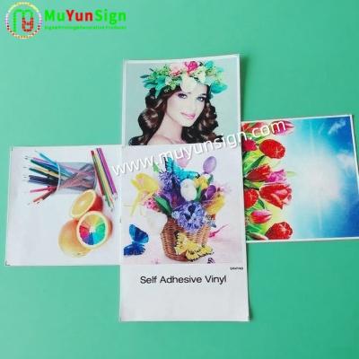China Glossy Or Matte Finish Digital Printing Vinyl Film Self Adhesive for sale