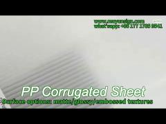 polypropylene corrugated plastic sheet lightweight pp hollow sheet