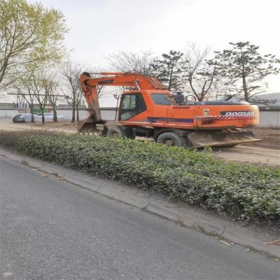 Cina Escavatore Doosan DX60W da 5,5 tonnellate con scarse ore di lavoro e condizioni eccellenti in vendita