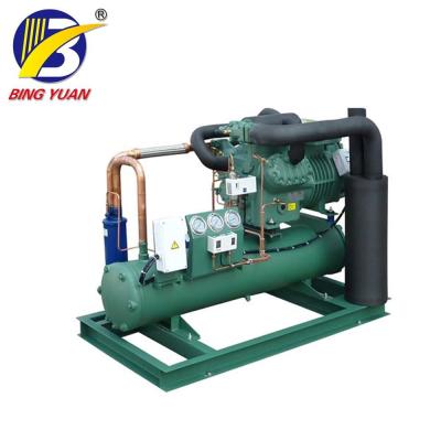 Cina German Bitzer Cold Room Compressor Refrigeration Unit in vendita
