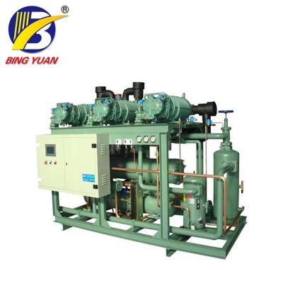 Cina German Bitzer Cold Room Compressor Refrigeration Unit in vendita