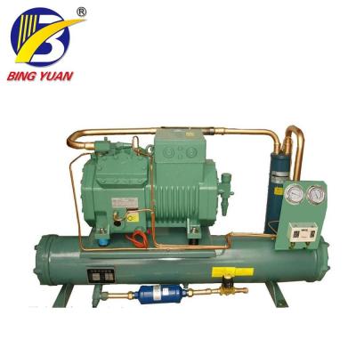 Cina German Bitzer Cold Room Compressor Refrigeration Unit in vendita