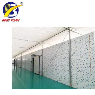 Cina cold storage room cold room panels polyurethane,fish storage cold room,cold room for sale in vendita