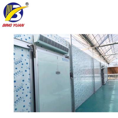 Cina cold storage room cold room panels polyurethane,fish storage cold room,cold room for sale in vendita