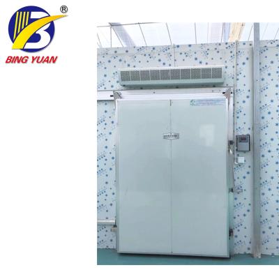 Cina cold storage room cold room panels polyurethane,fish storage cold room,cold room for sale in vendita