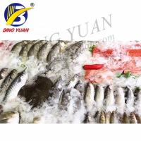 China 0.8T Flake Ice Maker Machine for sale