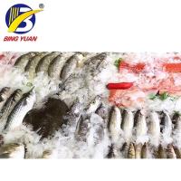 China 220V Ice Flake Making Machine for sale