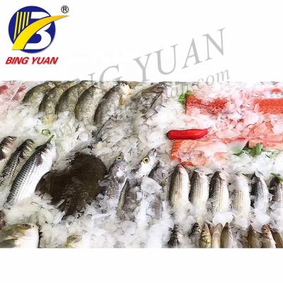 中国 漁業の商業タイプ薄片の氷メーカーのための自動薄片の製氷機 販売のため