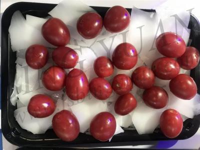 Cina Macchina del ghiaccio industriale del fiocco di prezzo all'ingrosso, macchina per ghiaccio di piccola capacità 1T/Day in vendita