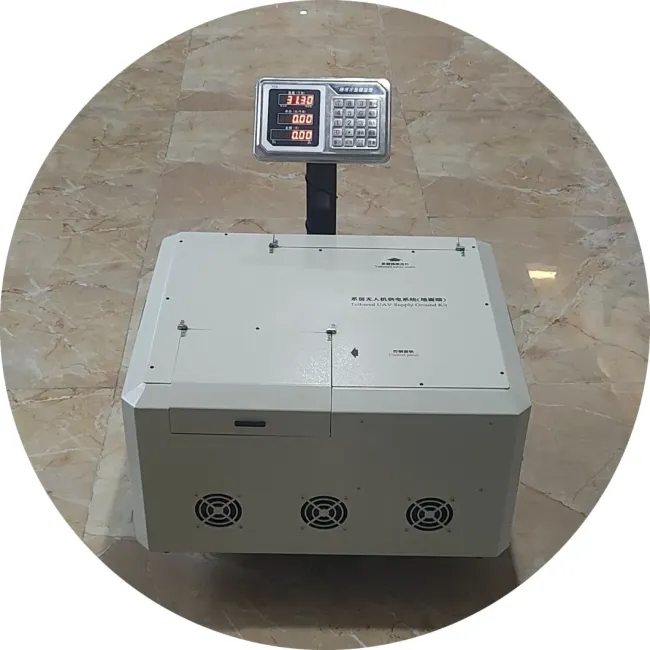 Power Supply System Tether Drone System