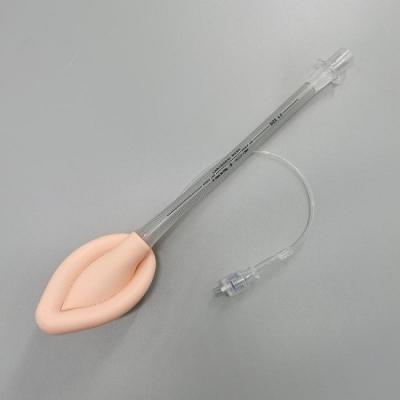 China Os tamanho reais reusáveis da categoria médica reforçaram o silicone que a via aérea laríngea da máscara com barra fabrica a venda quente à venda