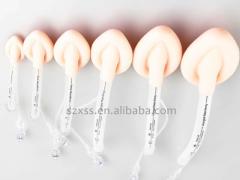 Van het Maskerluchtroutes van het silicone de Dubbele Lumen Laryngeal Beschikbare Enige Chirurgische Instrumenten