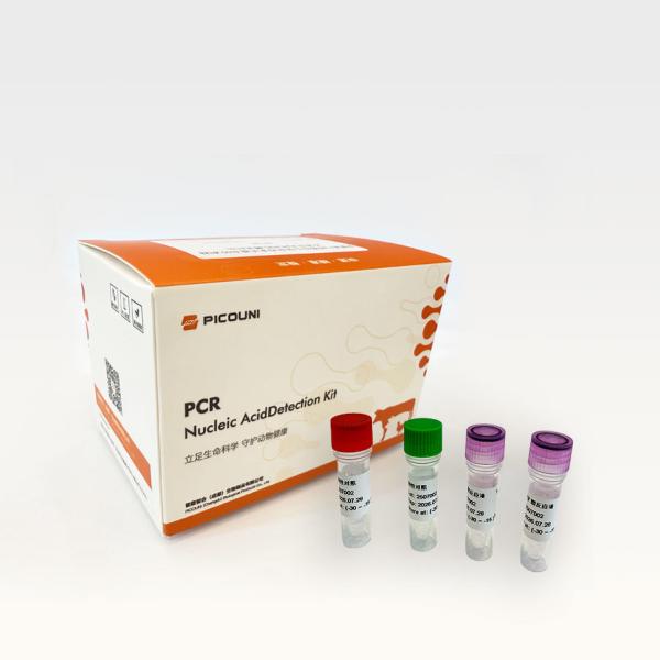 Quality Custom Porcine Pathogen PCR Panel Respiratory PRRSV-NA Detection Kit 48T 96T for sale