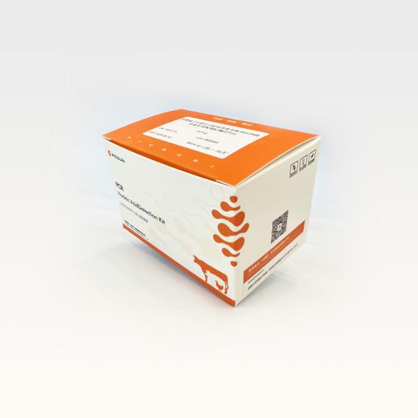 Quality Real Time Mycoplasma PCR Kit For Porcine Reproductive Respiratory Syndrome Virus for sale