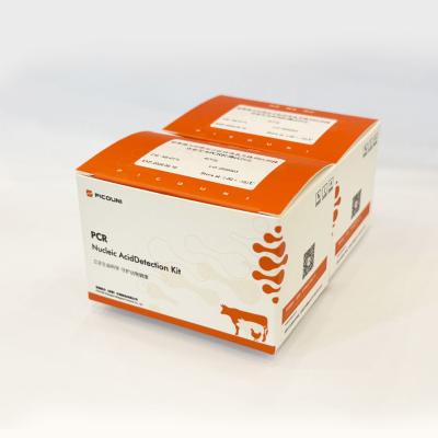 China real time PCR African swine fever virus (ASFV12) typing Detection Kit Compatible with various types of PCR instruments for sale