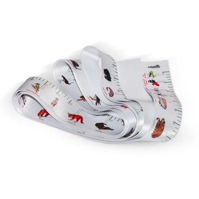 China Wintape Extra Long Colorful Image Printing Surface Fabric Texture Nylon Fabric Measuring Tape Band for sale