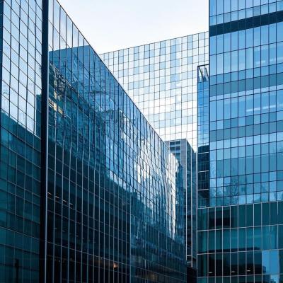 Cina Finitura elegante Custom Tempered Glass Curtain Wall Per Home Office Commerciale in vendita