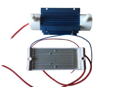 Cina 3g Corona Discharge Ozone Generator Cell 35W Power Supply Ozone Air Cell in vendita