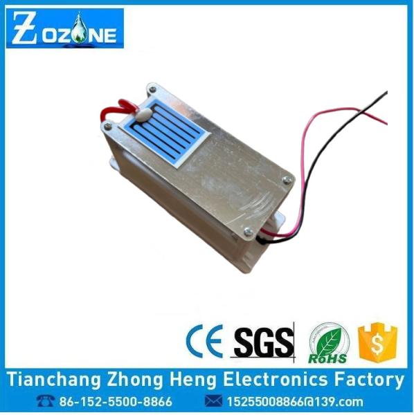 Quality 12V 1g Ozone Machine Plates Ceramic Ozone Generator for sale