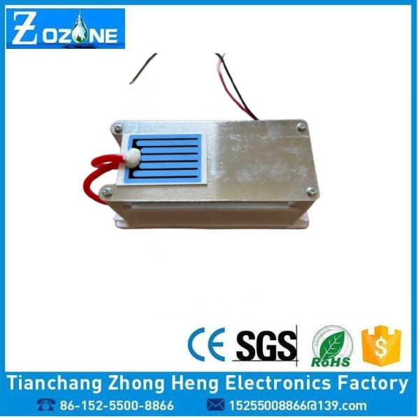 Quality 12V 1g Ozone Machine Plates Ceramic Ozone Generator for sale