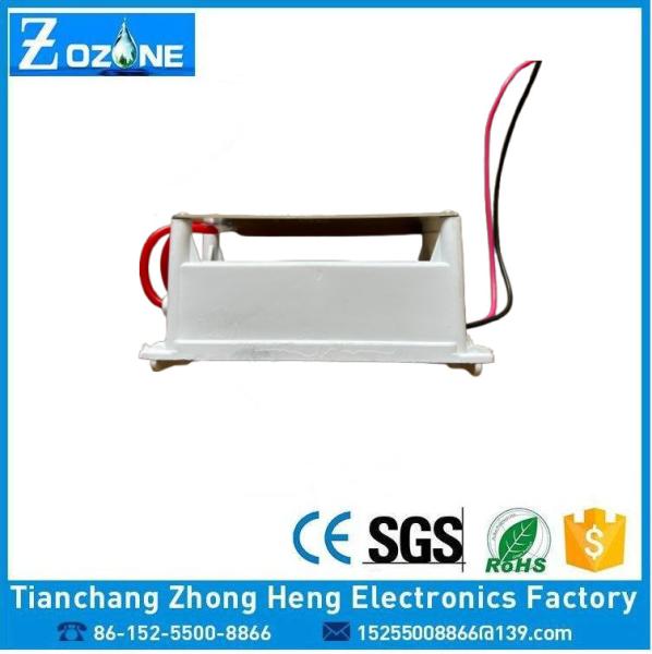 Quality 12V 1g Ozone Machine Plates Ceramic Ozone Generator for sale