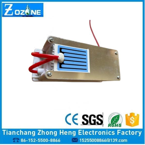 Quality 12V 1g Ozone Machine Plates Ceramic Ozone Generator for sale
