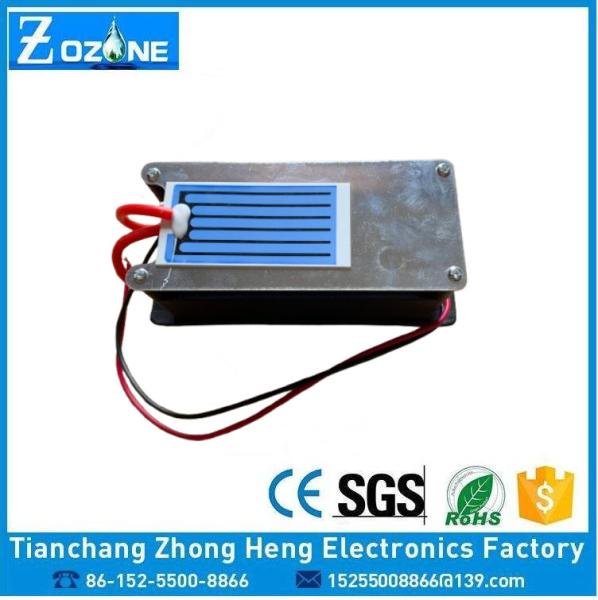 Quality 2g Generator Ozone Ceramic Plate Portable Ozone Replacement Plates for sale
