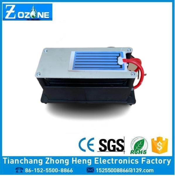 Quality 2g Generator Ozone Ceramic Plate Portable Ozone Replacement Plates for sale