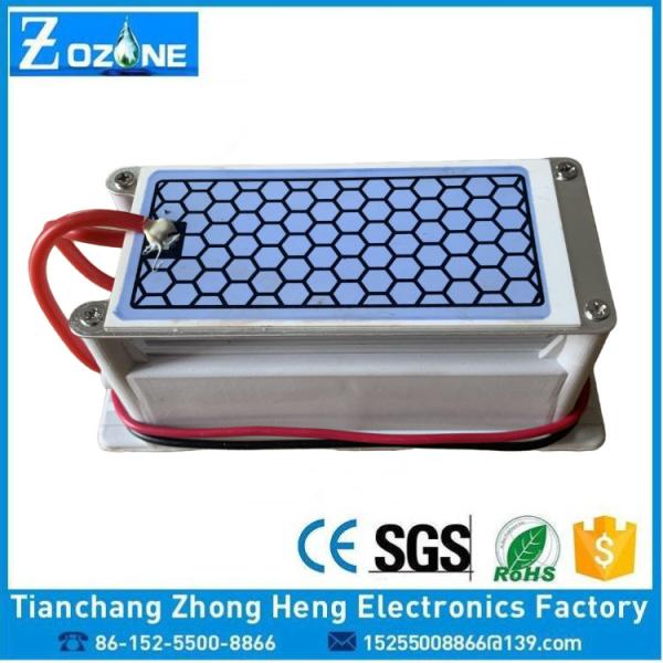 Quality Electric 5g/Hr Plate Ozone Generator Ceramic Ozone Generator Replacement Plates for sale
