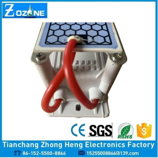 Quality Electric 5g/Hr Plate Ozone Generator Ceramic Ozone Generator Replacement Plates for sale