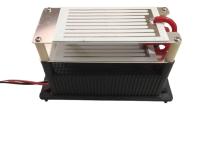 Quality 7g Odor Removal Ceramic Plate Ozone Generator Air Purifier Ozone Replacement for sale