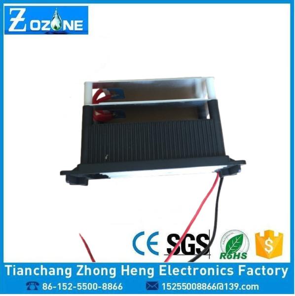 Quality 7g Odor Removal Ceramic Plate Ozone Generator Air Purifier Ozone Replacement for sale