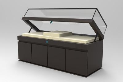 China Sealed Museum Display Case With UV-Blocking Glass And Adjustable LED Light For Gallery Exhibits for sale