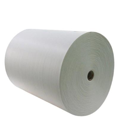 China PLA Nonwoven Fabric for Disposable Masks and Healthcare Products 100% Biodegradable Material for sale