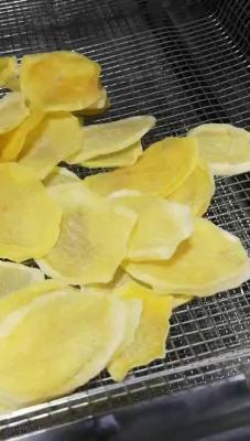 Chine Dessiccateur de thé vert de boîte de vitesse de matériel de séchage de viande de levure de brasserie pour des fermes à vendre