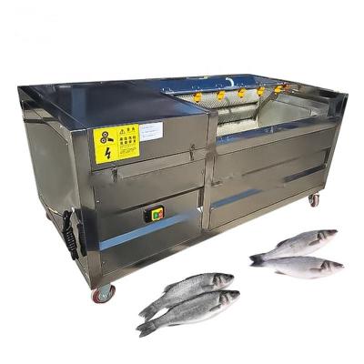 Chine Machine électrique de traitement du poisson à haute puissance pour l'élimination des écailles du poisson à vendre