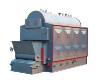 China DZL 20 T/H Biomass Active Grate Automatic Feed Steam Boiler 1.25 MPa for sale