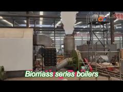 Automatische 4 6 8 10 12 ton per uur Biomassa waterverwarmer Houtverhitte stoomketel voor de chemische industrie