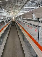 China Stacked broiler cage for sale