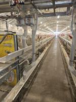 China Stack‑type Breeder Cage for sale