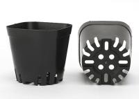 China Square Pot for sale